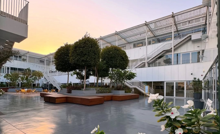 حي جميل من أجل حب الفن: دليلك الشامل ل حي جميل في جدة