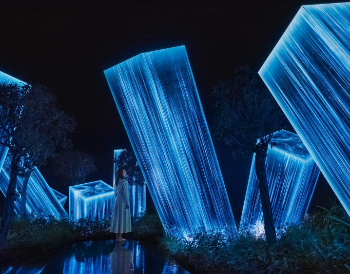 What’s new at teamLab phenomena Abu Dhabi 2025