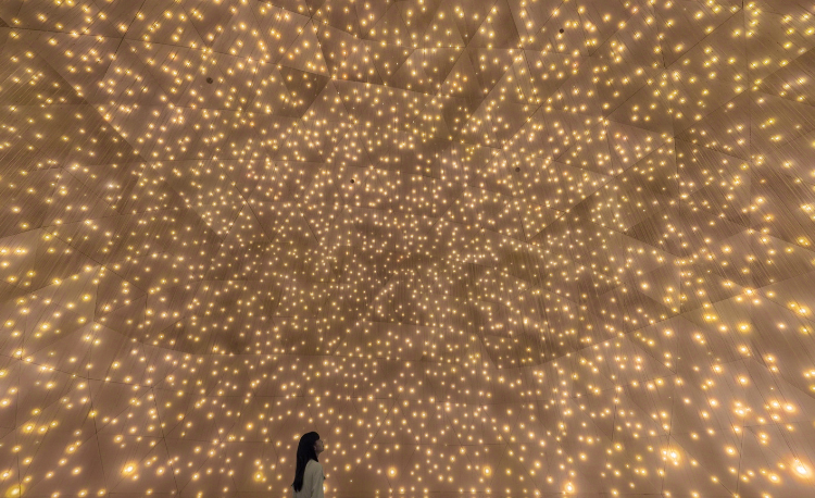 What’s new at teamLab phenomena Abu Dhabi 2025