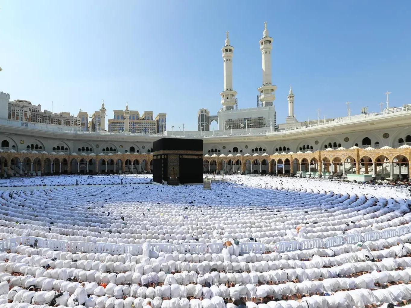 DAN Company 's “Solan” to transform Saudi’s farm scene 2025