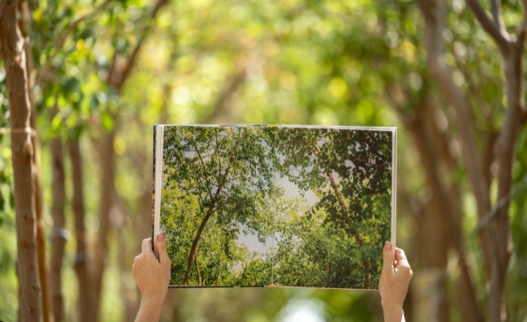 Assouline Launches ‘AlUla Flora’ Celebrating Oasis Flowers ...