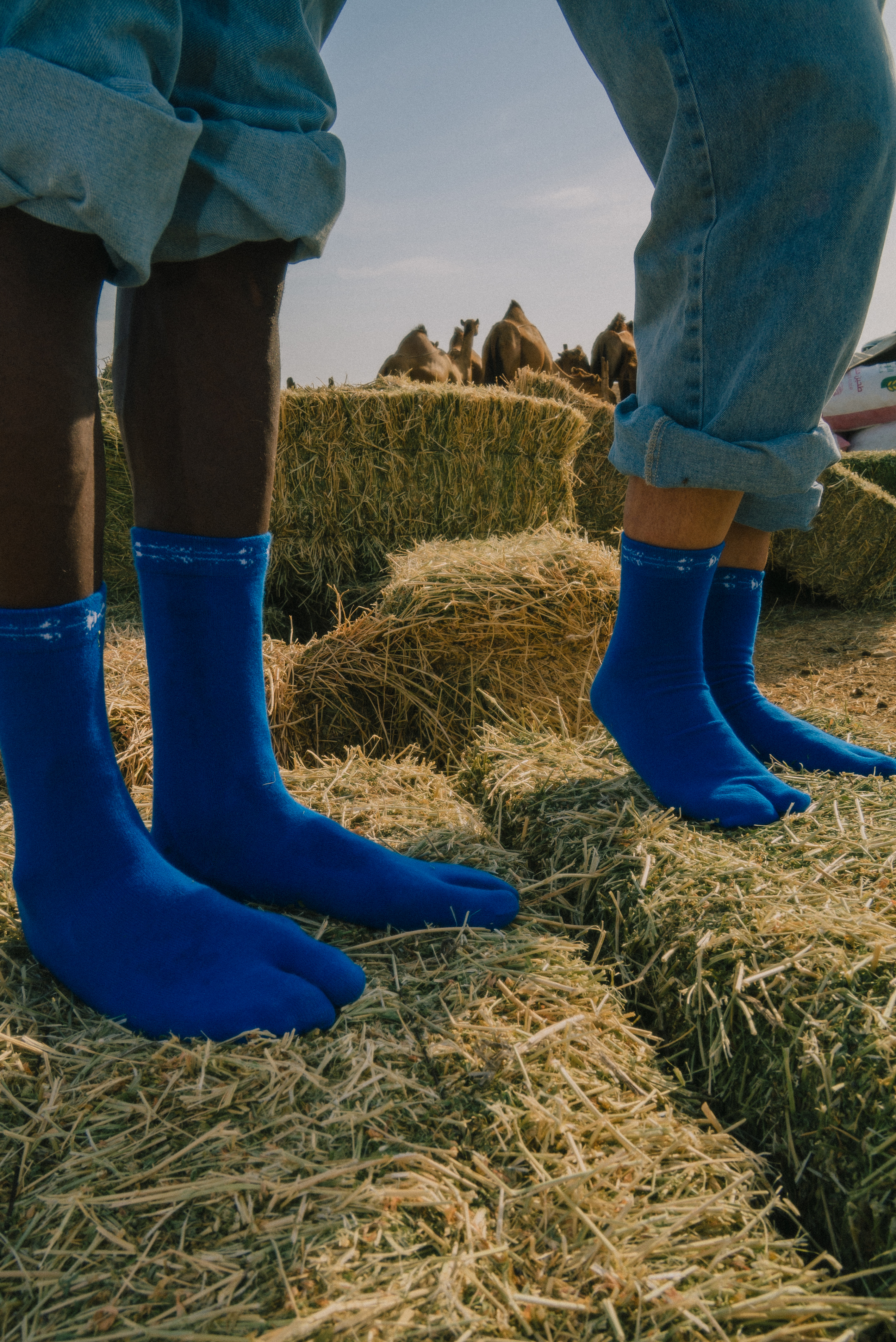 Discover the Not Boring x Bayan Yasien Collection