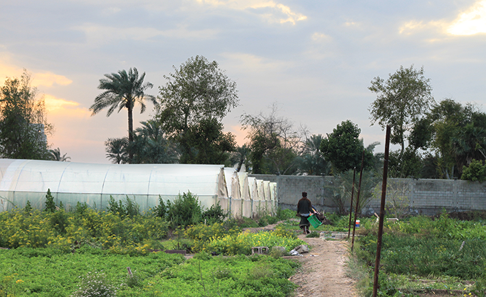 Hidden Side of Bahrain - Destination KSA