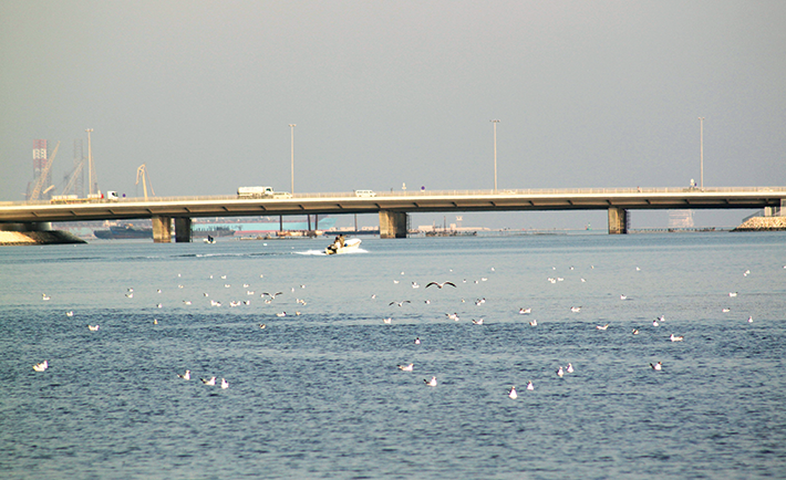 Hidden Side of Bahrain - Destination KSA