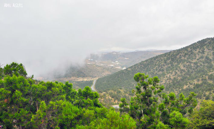 15 Stunning Photos About Top Green Places in Saudi Arabia - Destination KSA