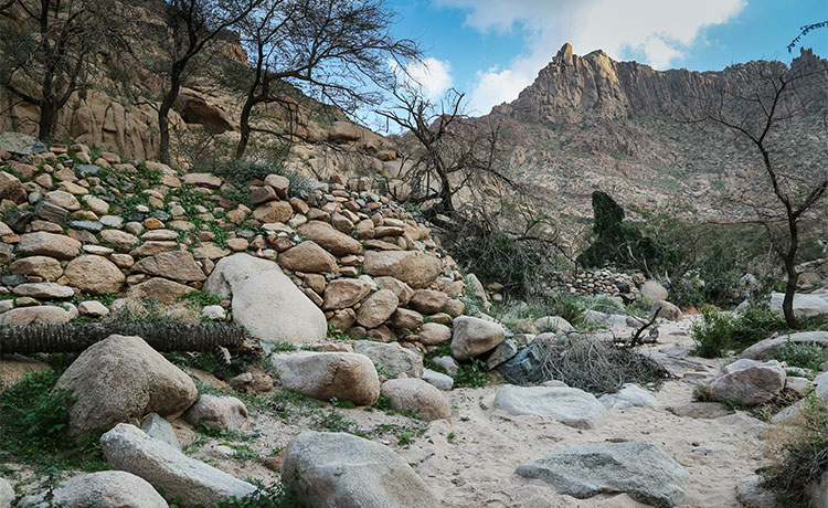 Moath Alofi: The Chronicler of Almadinah Almunawarah - Destination KSA