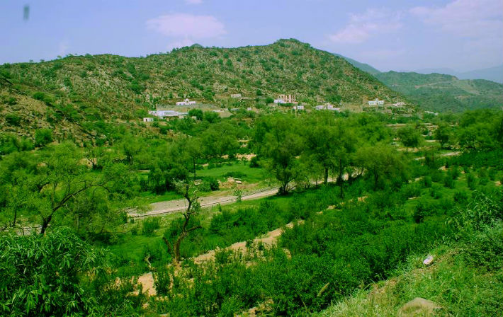 15 Stunning Photos About Top Green Places in Saudi Arabia - Destination KSA