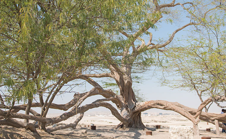 Explore Bahrain - Destination KSA