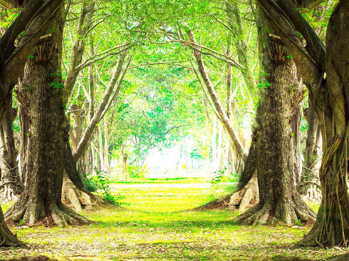 Wonder Garden 2024 x Wicked: All about the exclusive attraction ...