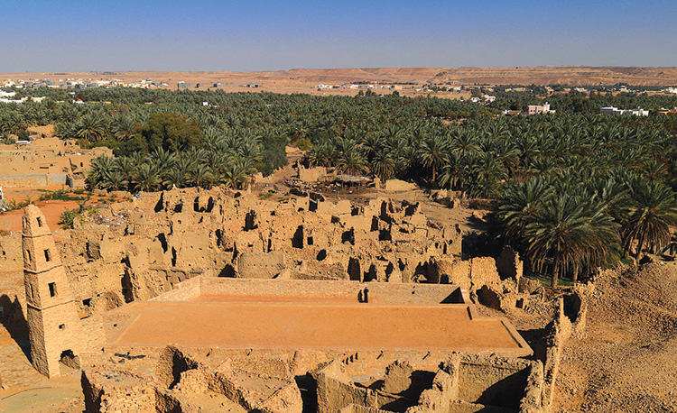 The Fresh Pickings of AlJouf - Destination KSA