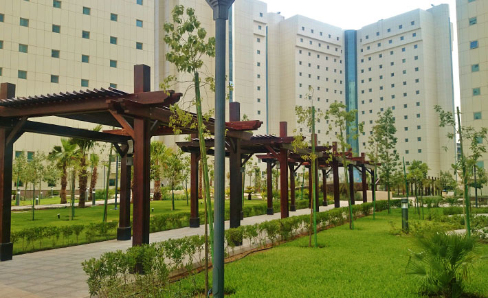 The Best Jogging Spots In Riyadh