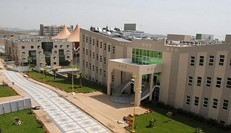 The Top 10 Universities in Saudi Arabia